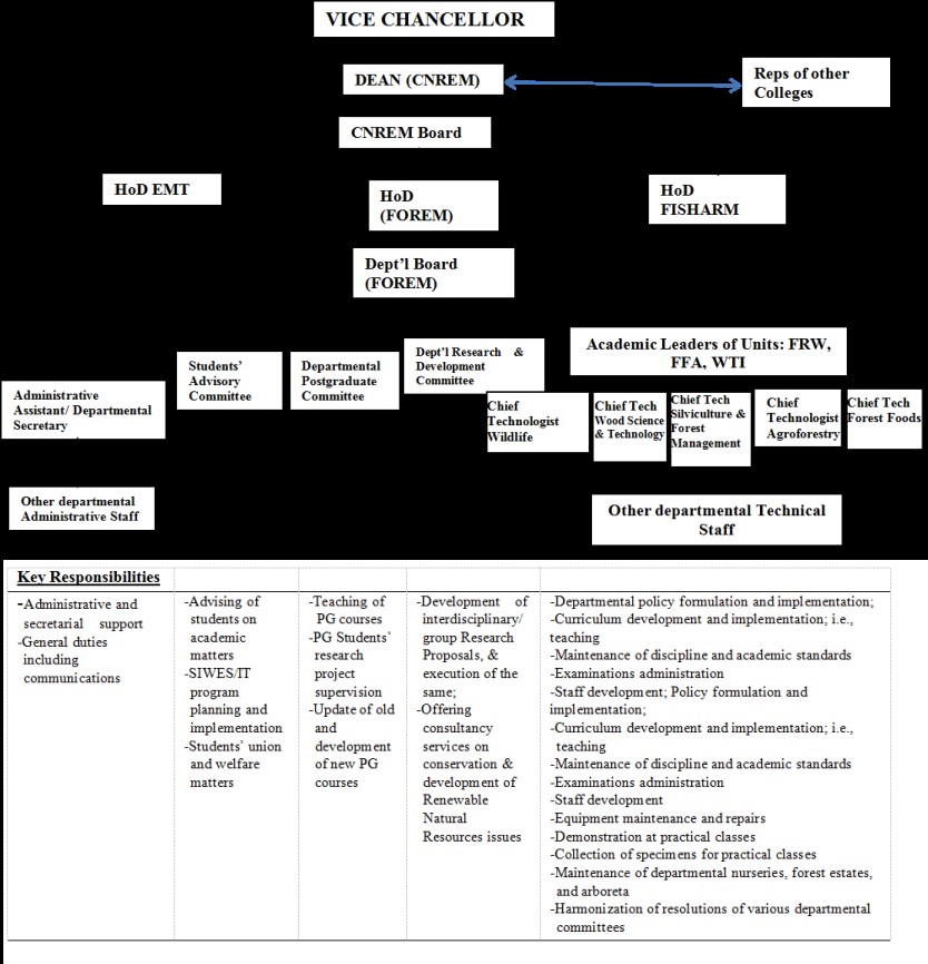Organogram of the B.Forem Programme – College of Natural Resources and ...